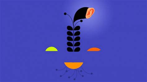 Guido Bartorelli Il Bo Live Università Di Padova Magazine