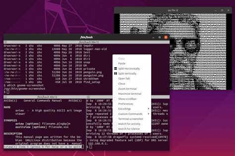 使用 Terminator 在一个窗口中运行多个终端 Linuxstory