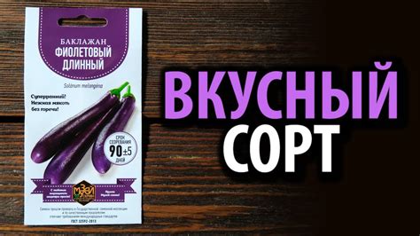 Баклажан Фиолетовый длинный 🍆 Вкусный сорт Youtube