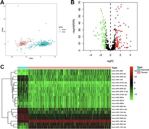 Screening Of The De Mirnas A Pca Plot Of The Expression Profile Of