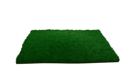3d Grass Model Turbosquid 1914105 3d Grass Model Turbosquid 1914105