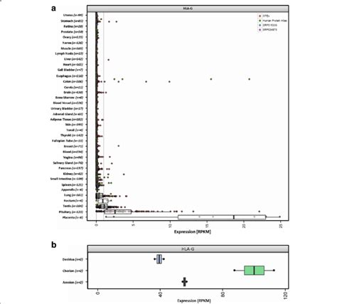 hla g expression body map the non classical hla class i gene hla g has