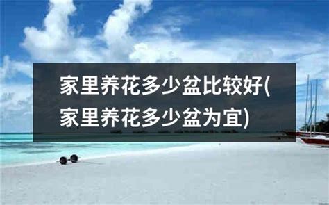 家里养花多少盆比较好 家里养花多少盆为宜 养花经验