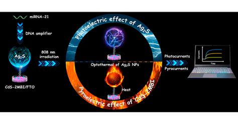Pyroelectric Effect Assisted Near Infrared Driven Photoelectrochemical Biosensor Based On