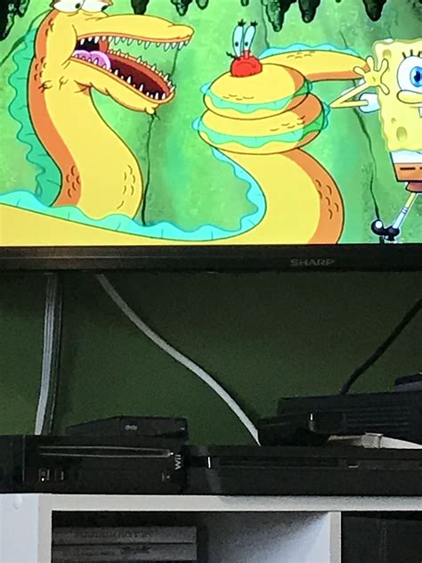 Pin By Timmy Campbell On Spongebob Spongebob Computer Monitor