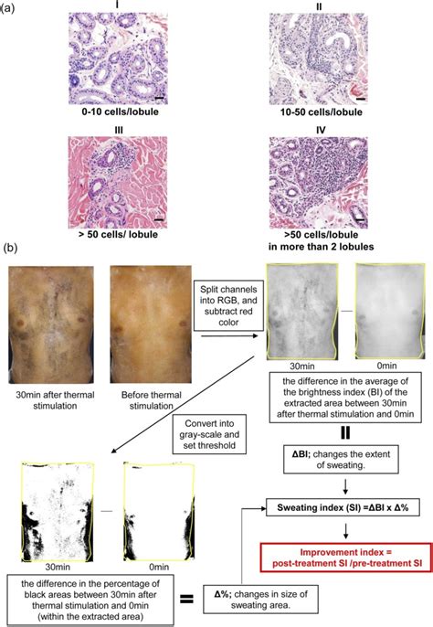 Clinicopathological Digital Image Analyses Before And After Thermal