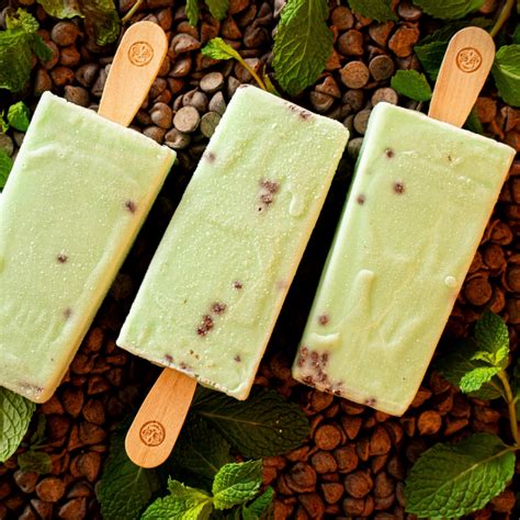 Mint Chocolate Chip Morelia Ice Cream Paletas
