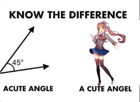 Rddlc In A Nutshell Rddlc