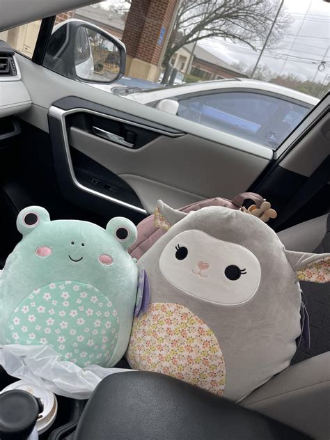 Spring Squishmallows At Walgreens R Squishmallow
