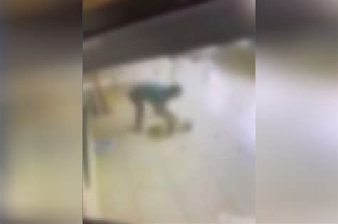 Câmera registra homem espancando cadela do vizinho cenas são fortes