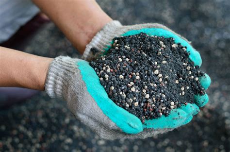 How To Mix Your Own Bonsai Soil Grow A Bonsai Tree