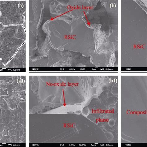 Microstructure Of Surface And Fracture Of Rsic And Mosi 2 Cr 5 Si 3