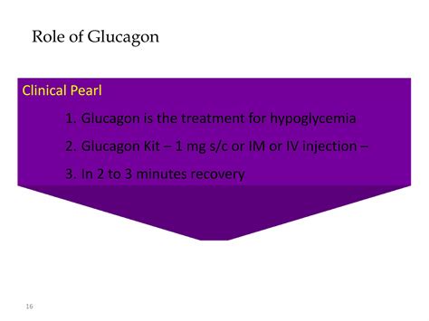 Glucagon And Its Metabolic Effects Pptx Endocrine And Metabolic