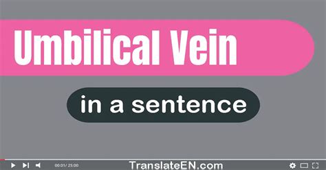 Umbilical Vein In A Sentence