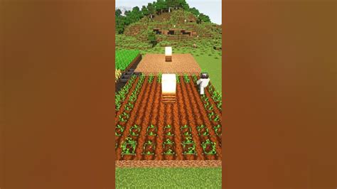 Minecraft Crop Farm🥕 Shorts Youtube