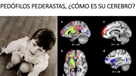 Perfil neurocriminológico del pedófilo pederasta YouTube