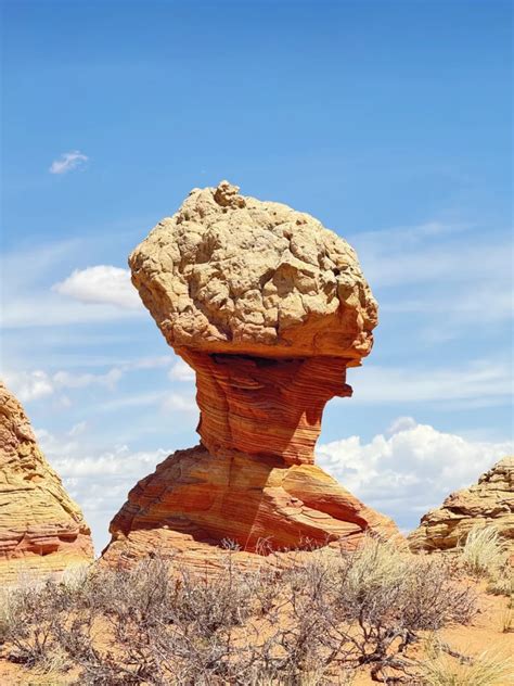 An Otherworldly Destination A Guide To Coyote Buttes South Lita Of The Pack