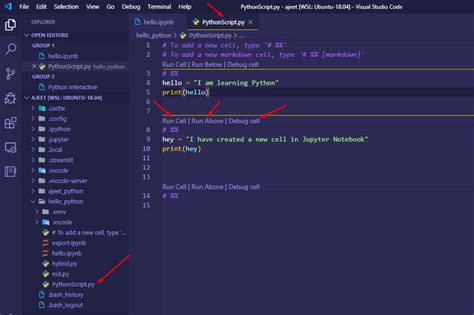 Set Up Jupyter Notebook In Vs Code For Data Science Dev Community