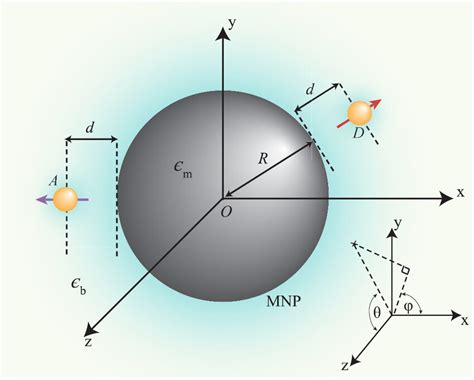 The Schematic Diagram Of An Mnp And The Molecules Placed In A Water