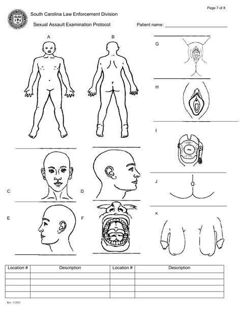 South Carolina Sexual Assault Examination Protocol Envelope Style