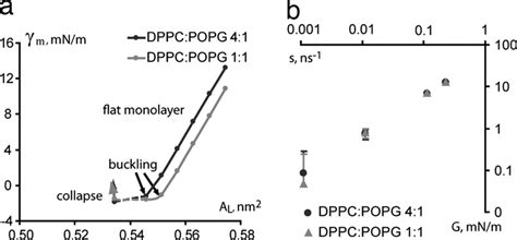 The Properties Of Lipid Monolayers Containing Dppc And Popg Lipids In