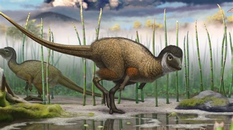Sporcle Dinosaurs