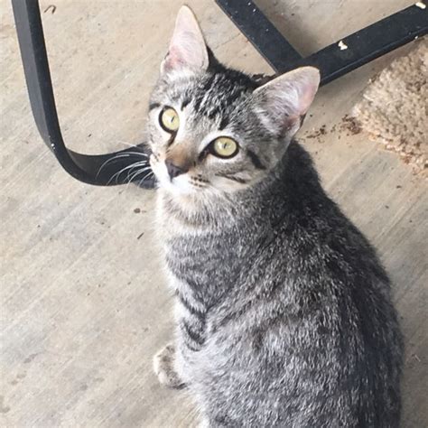 Olivia Jacobs Youtube