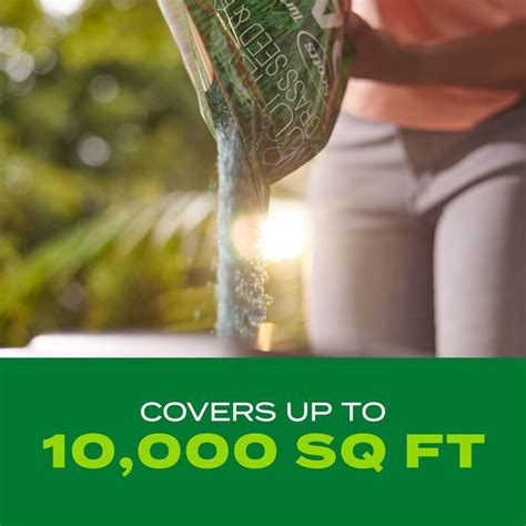 Scotts Turf Builder Rapid Grass Bermudagrass Scotts