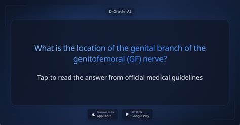 What Is The Location Of The Genital Branch Of The Genitofemoral Gf Nerve