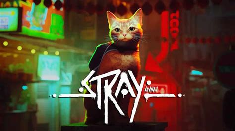 Stray Vale A Pena