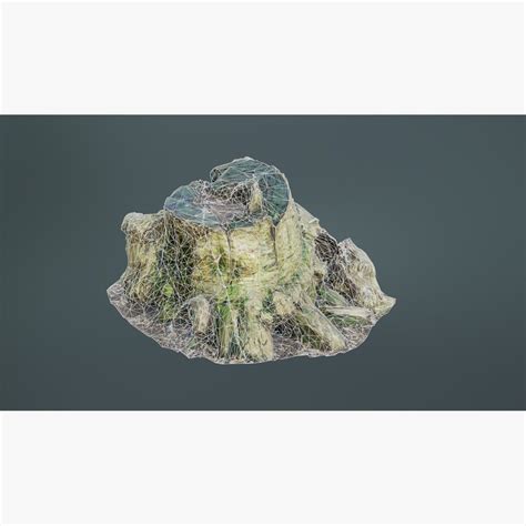 Wide Tree Root Stump 3d Model Download Landscapes On