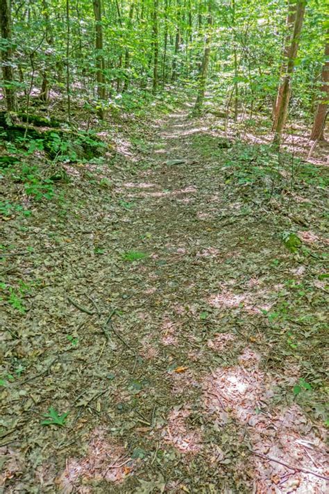Hike The Huckleberry Loop From Huckleberry Loop Road