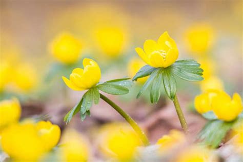 신민아 40세 프랑스 파리에서 꾸안꾸 패션에 귀엽고 예쁘고 다해