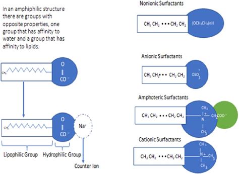 Structure And Classification Of Surfactants This Figure Is Reproduced Download Scientific