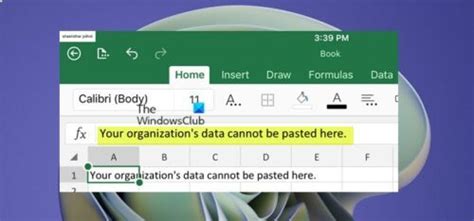 Your Organizations Data Cannot Be Pasted Here