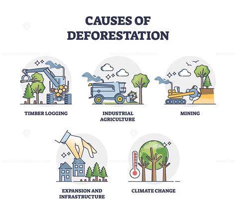 Causes Of Deforestation And Wood Resources Consumption Outline