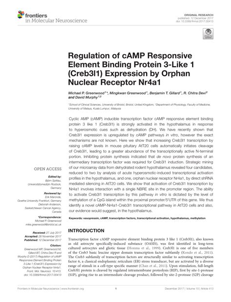Pdf Regulation Of Camp Responsive Element Binding Protein 3 Like 1 Creb3l1 Expression By
