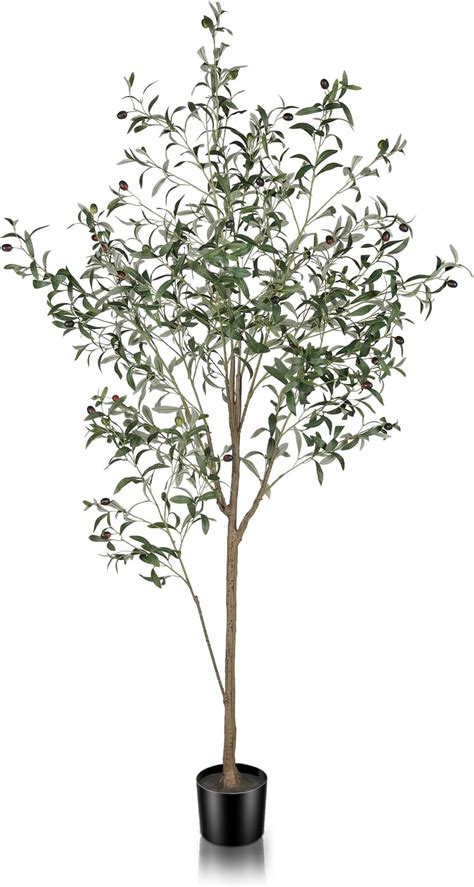 Gtidea Faux Black Olive Tree 66ft Tall Faux Trees Indoor