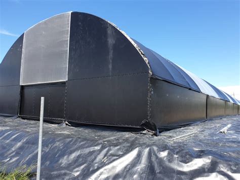 Nursery Greenhouse Macro Saga