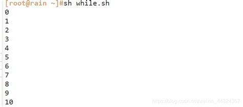 Shell脚本之循环语句详解（for、while 、until循环语句）shell循环 Csdn博客
