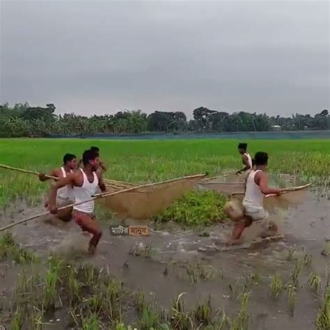 বৃষ্টির দিনে মাছ ধরার কৌশল। Youtube