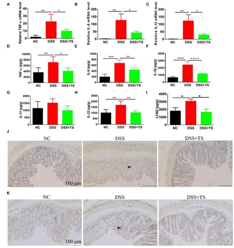 The Effect Of TS On The Expression Of Inflammatory Signal Caused By