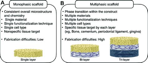 Summary Of The Characteristics Of Monophasic And Multiphasic Scaffolds Download Scientific