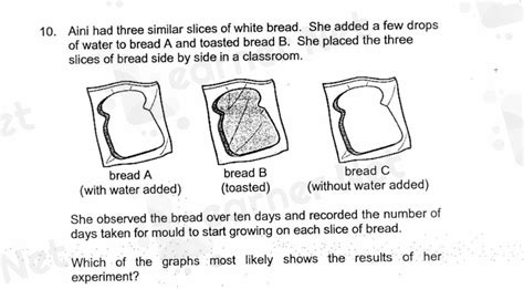 Exam Paper Question Sg P3 Science Pei Chun Public School 2017 Sa1 10