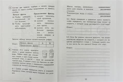 Впр 4 класс волкова цитович