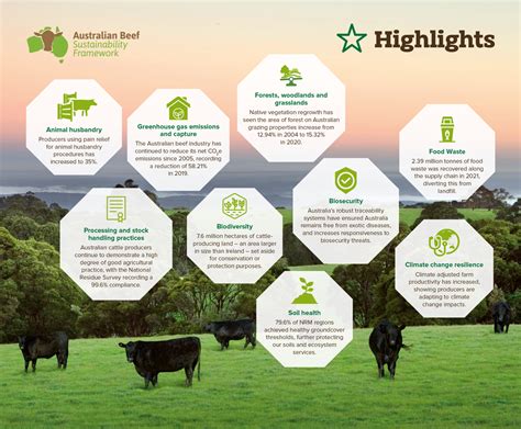 The Framework Explained 2022 Annual Update Highlights The Australian