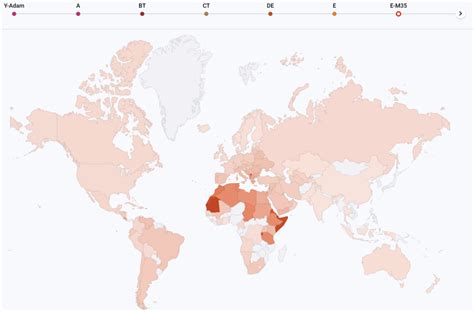 Ancient Lineages A 49000 Year Old Branch Split In Y Dna Haplogroup E