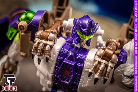 Gallery Legacy United Tigerhawk The Source Report