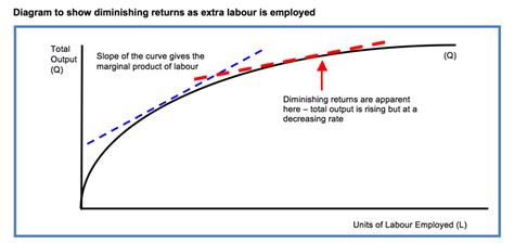 Production Function in the Short Run | tutor2u Economics