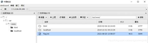ctfshow WEB web4 ctfshow web4 CSDN博客
